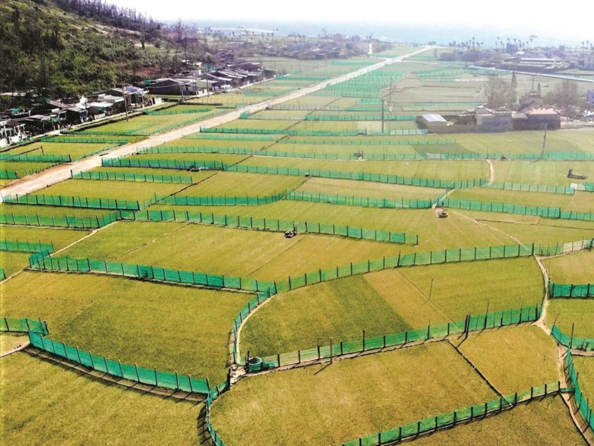 岘港离山全面旅游攻略从A到Z